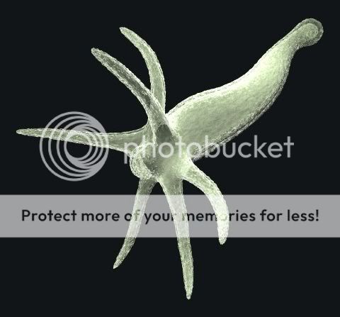 Hydra - Works in Progress - Blender Artists Community